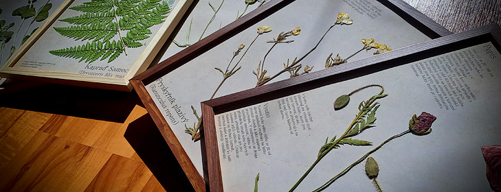 Fler BLOG | DejfART / Herbářové obrázky z lisovaných rostlin: Unikátní ...