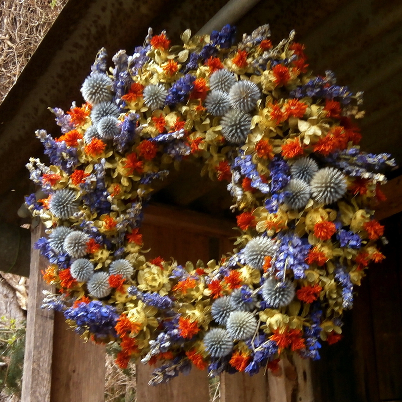 Modrý Věnec - Světlice s bodláky 3 / od drahuska56 | Fler.cz