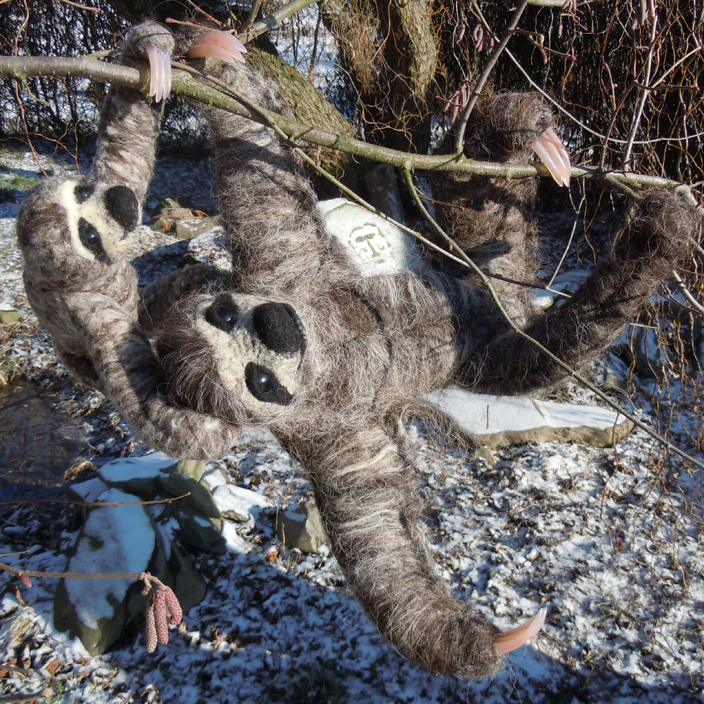 Lenochod tříprstý / od nana | Fler.cz
