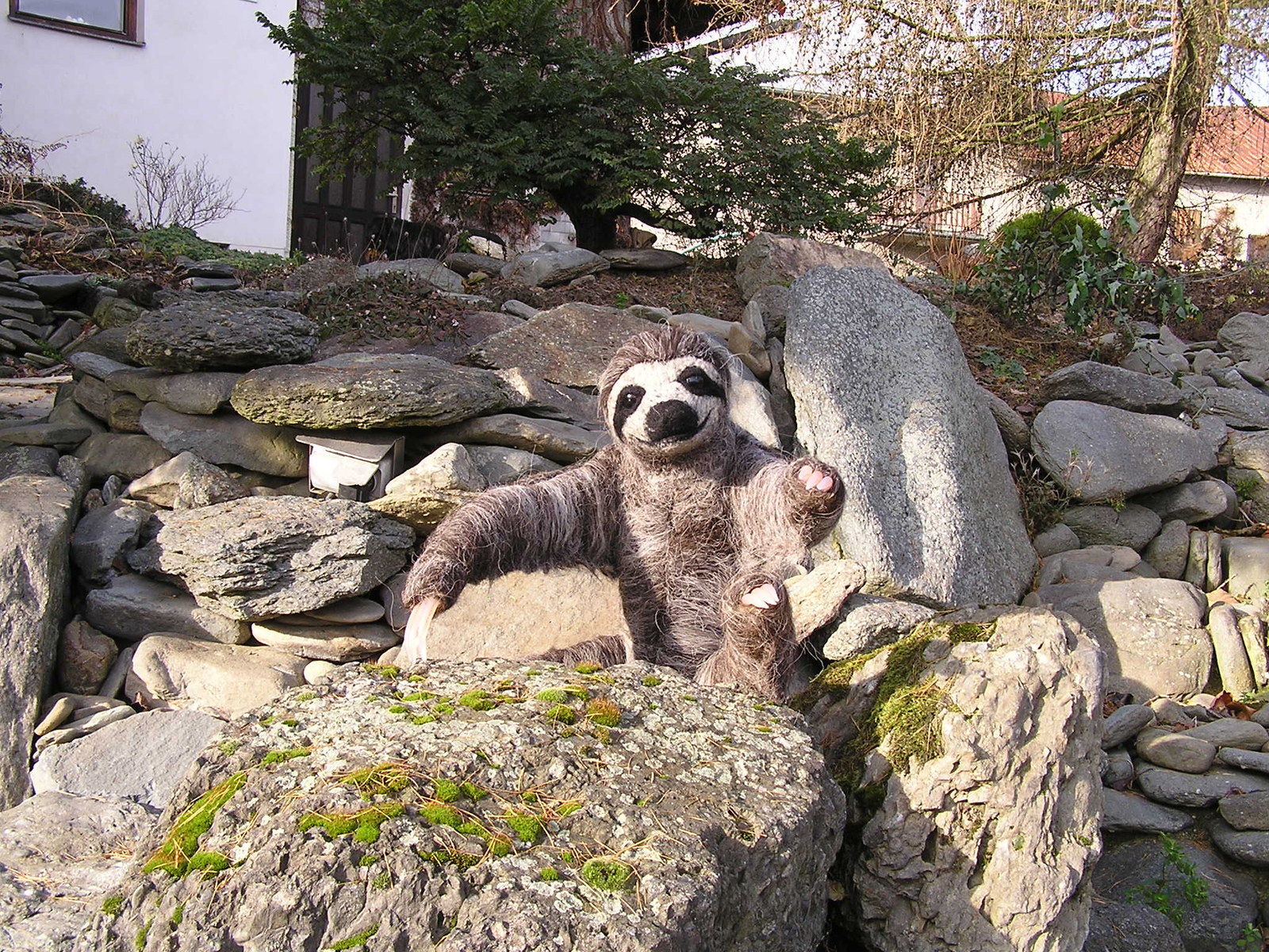 Lenochod tříprstý / od nana | Fler.cz