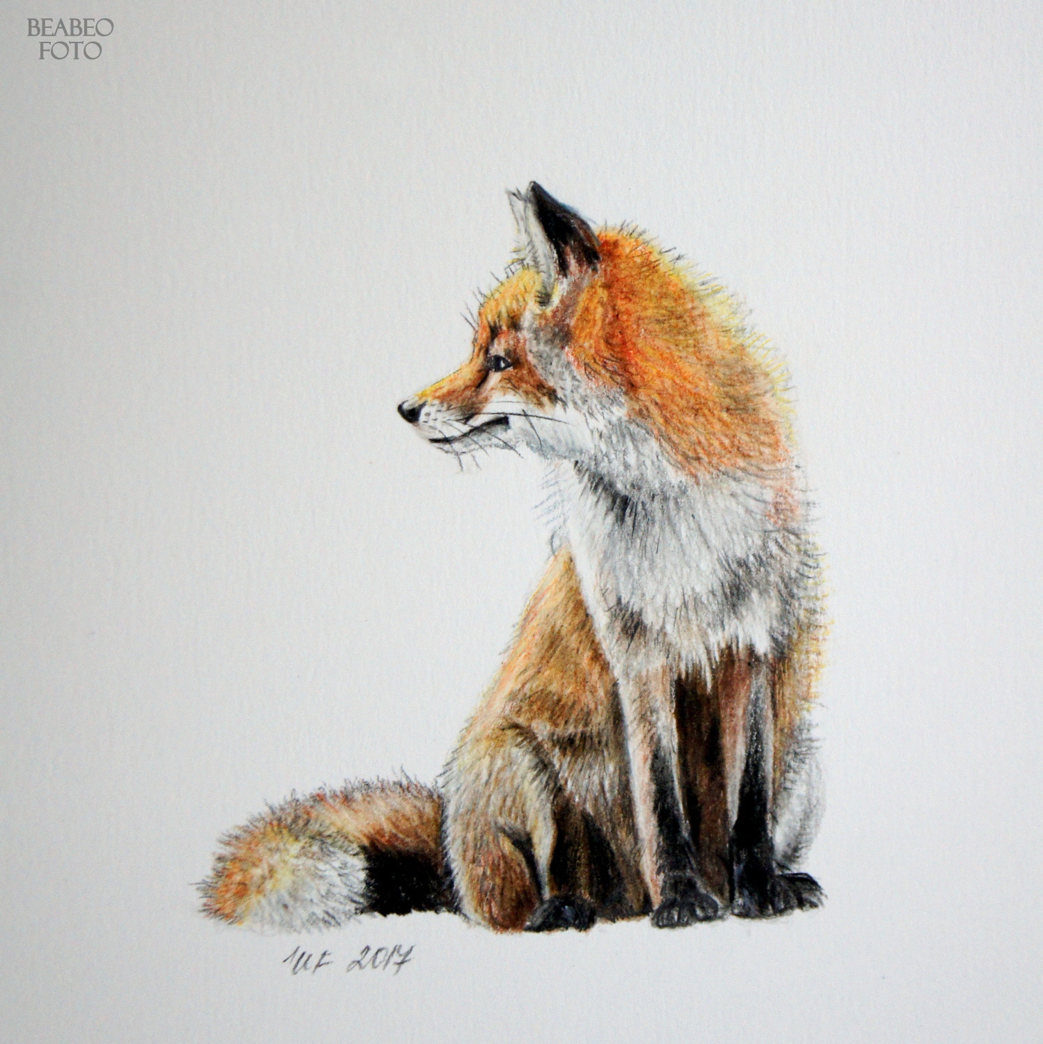Kresba v lese. liška II / od Mariana | Fler.cz