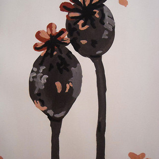 Obraz makovice / od Abidy | Fler.cz