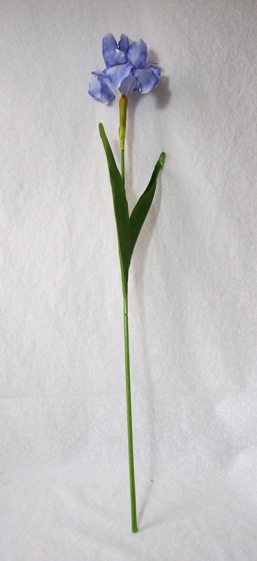 Modrý kosatec / od pabo materiál | Fler.cz