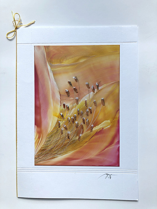 Přání růžové XXL blahopřání (A4) Tajemství květu / od dupky | Fler.cz