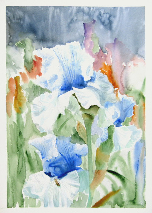 Malba Kosatce a včela - originál, velký akvarel / od unakit | Fler.cz