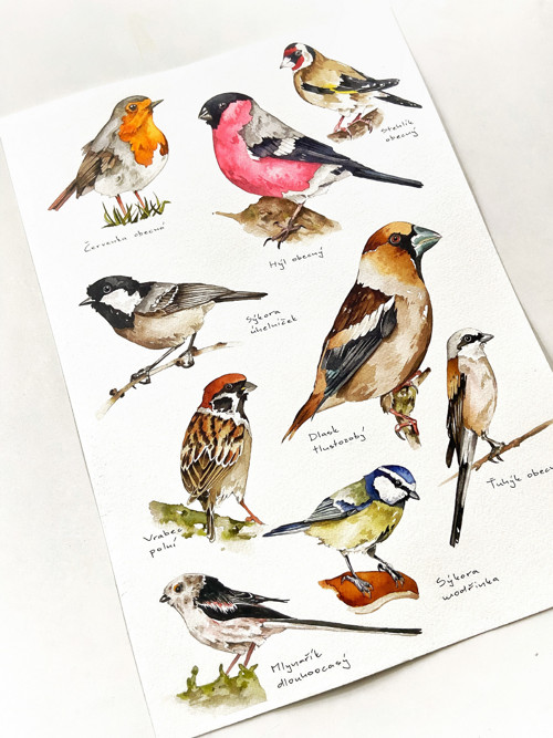 Obraz Ptáčci 2 - akvarel, originál A3 / od terez.art | Fler.cz