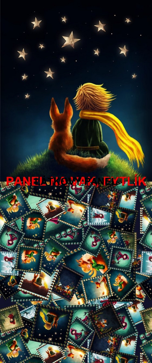 Látka dětské bavlna vícebarevná Panel na vak, pytlík Malý princ 29x70 ...