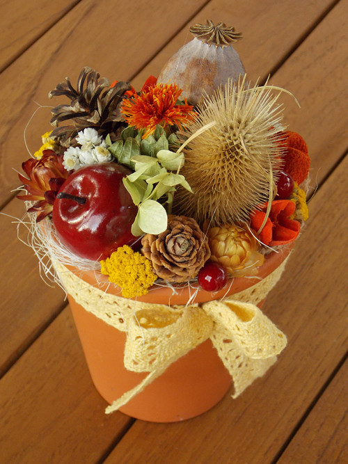 Podzimní květníček úzký / od nika127 | Fler.cz