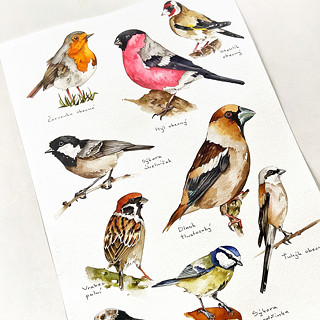 Obraz Ptáčci 2 - akvarel, originál A3 / od terez.art | Fler.cz