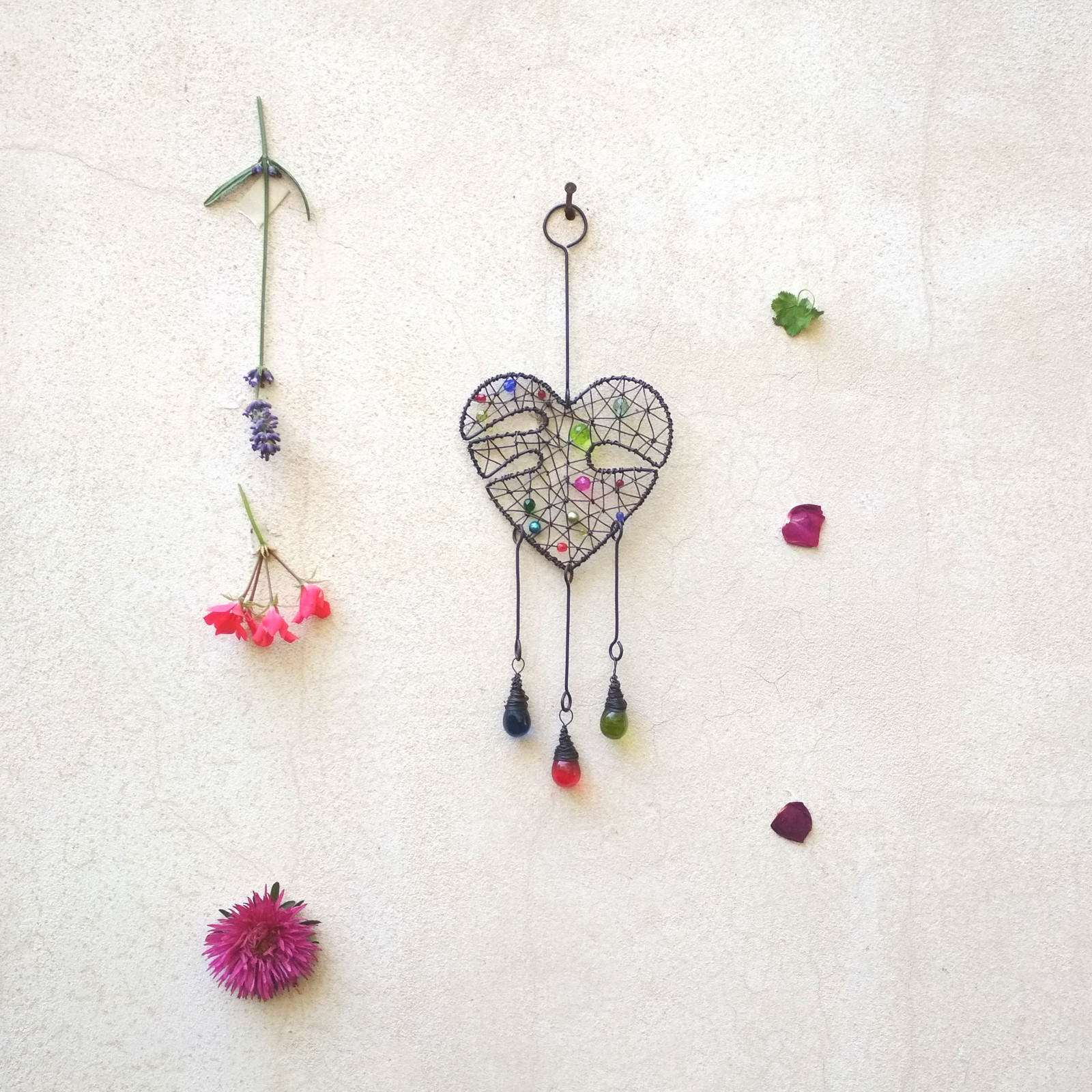 Monstera malá / od smu | Fler.cz