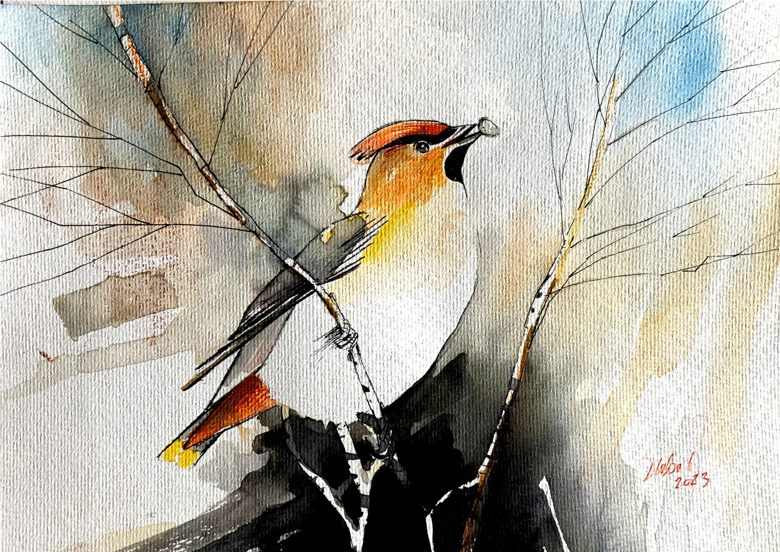 Obraz Brkoslav severní / originální akvarel Dlabal / od Akvarel ...