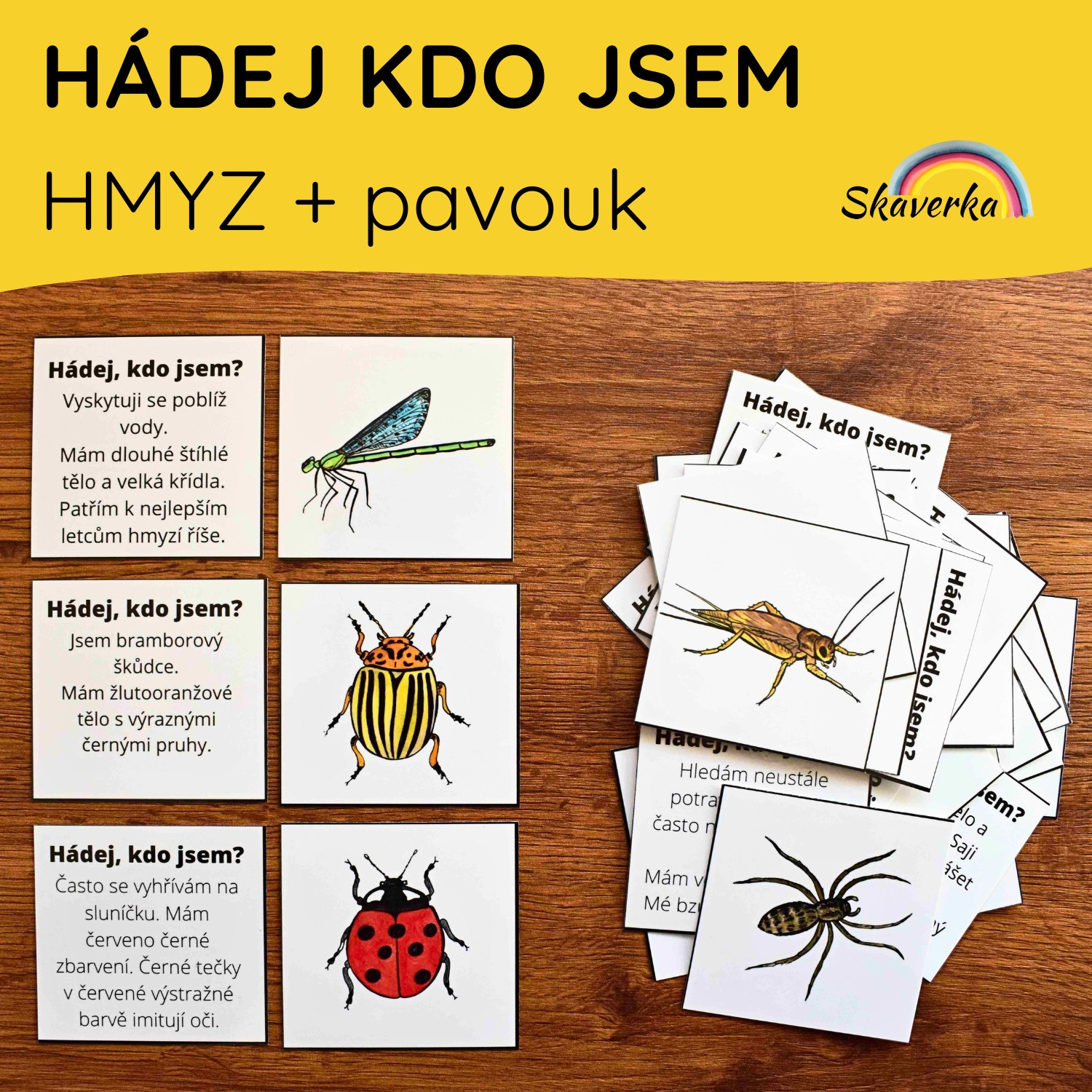 Pracovní list vícebarevný HÁDEJ KDO JSEM - HMYZ + pavouk pdf - elektronická verze / od SKAVERKA ...