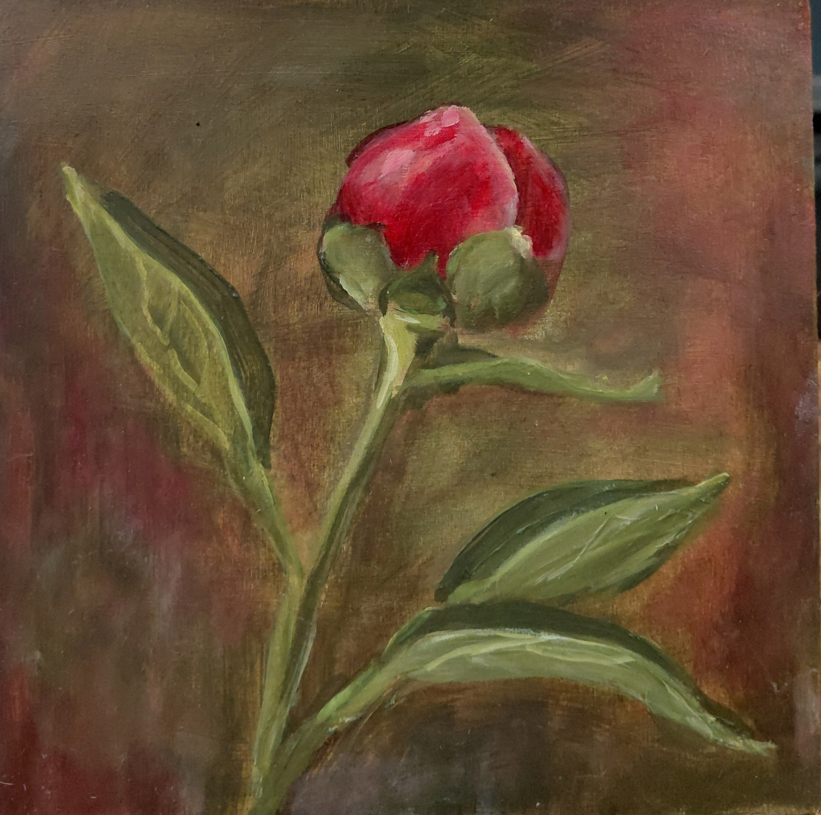 Obraz Poupě pivoňky / od Ka jinak | Fler.cz