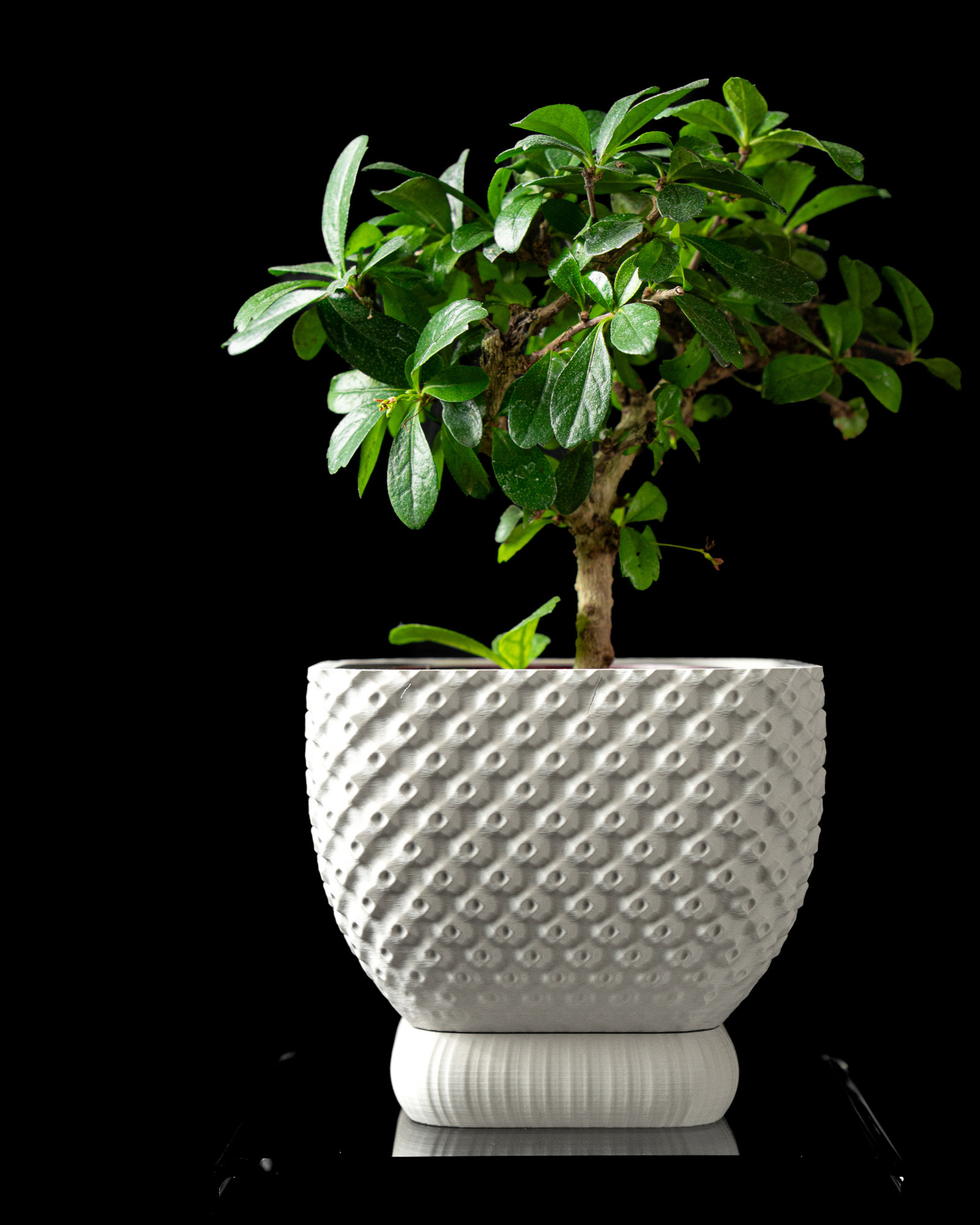 Vícebarevný Obal na květináč CONNECT PLANTER / od MB 3D Printing | Fler.cz