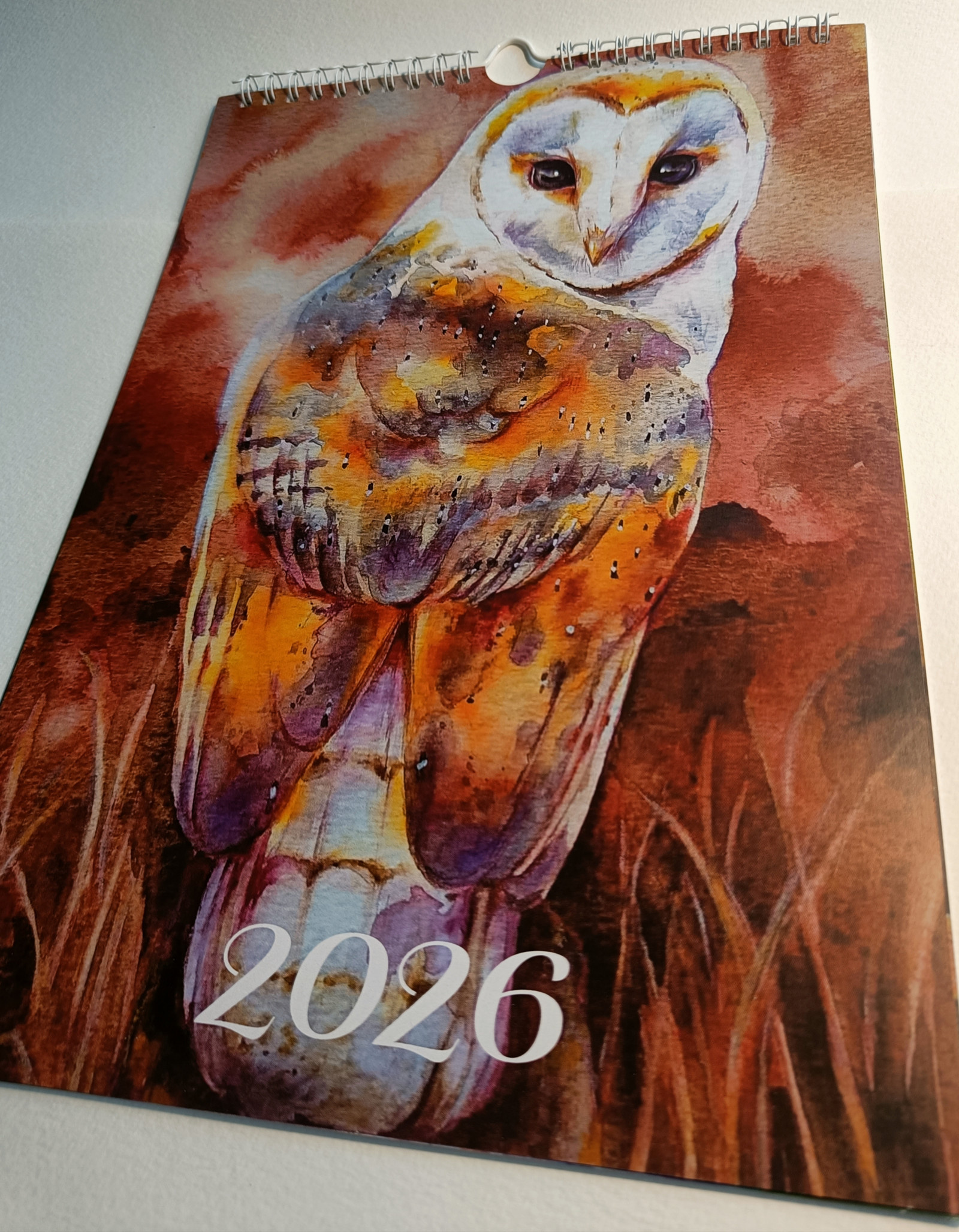 Autorský nástěnný kalendář 2026 - ptáčci / od dvo.jitka | Fler.cz