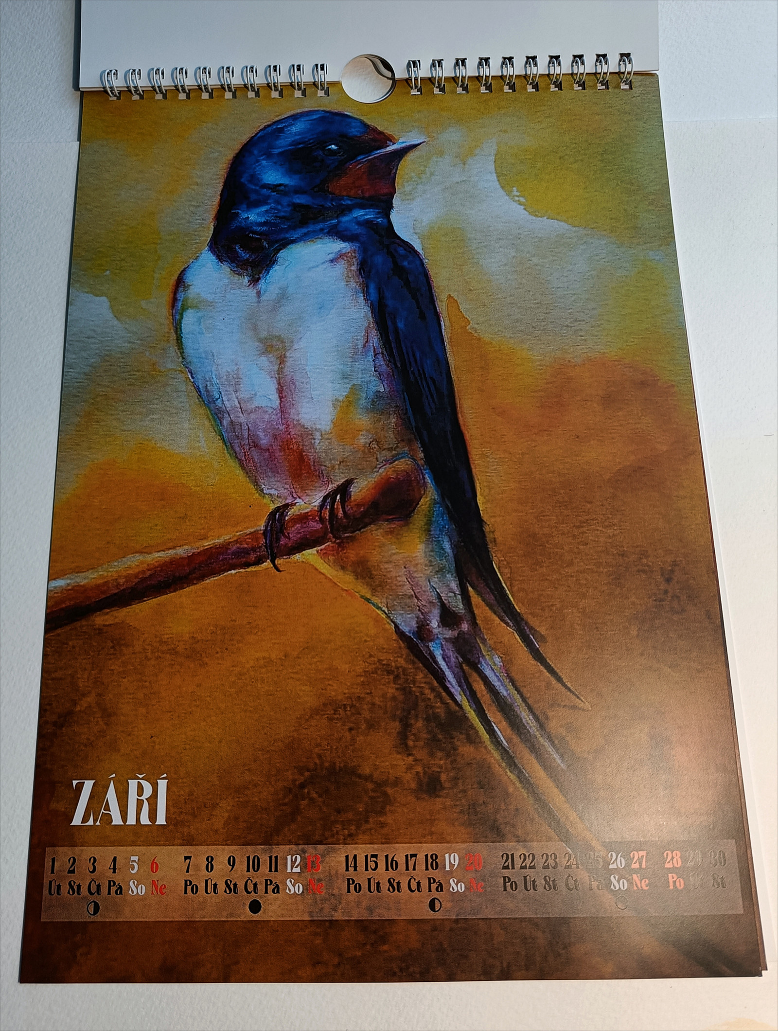 Autorský nástěnný kalendář 2026 - ptáčci / od dvo.jitka | Fler.cz