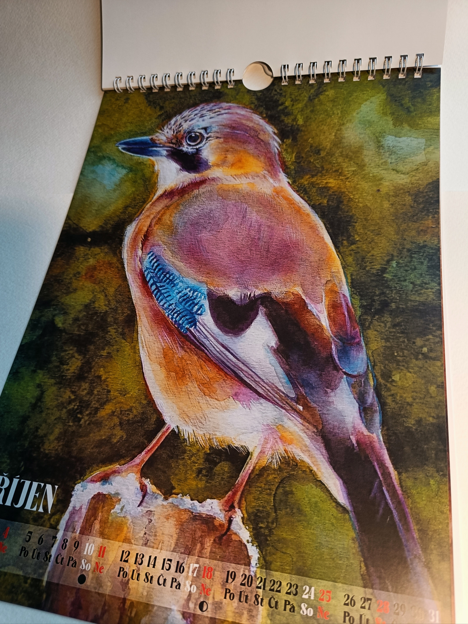Autorský nástěnný kalendář 2026 - ptáčci / od dvo.jitka | Fler.cz