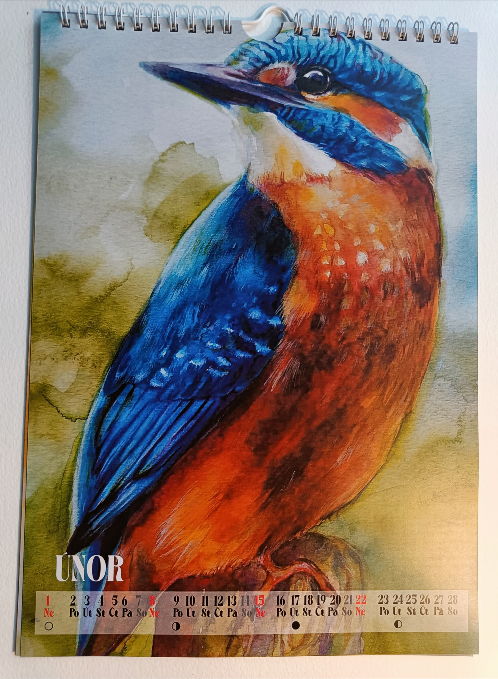 Autorský nástěnný kalendář 2026 - ptáčci / od dvo.jitka | Fler.cz