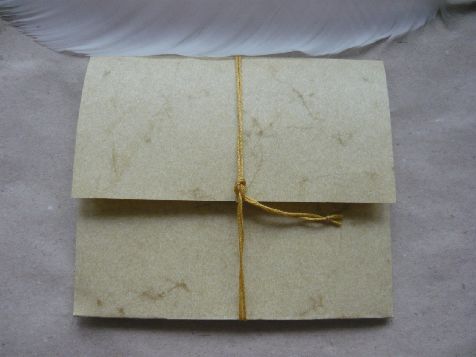 Zlatonka / od barca.wednesday | Fler.cz