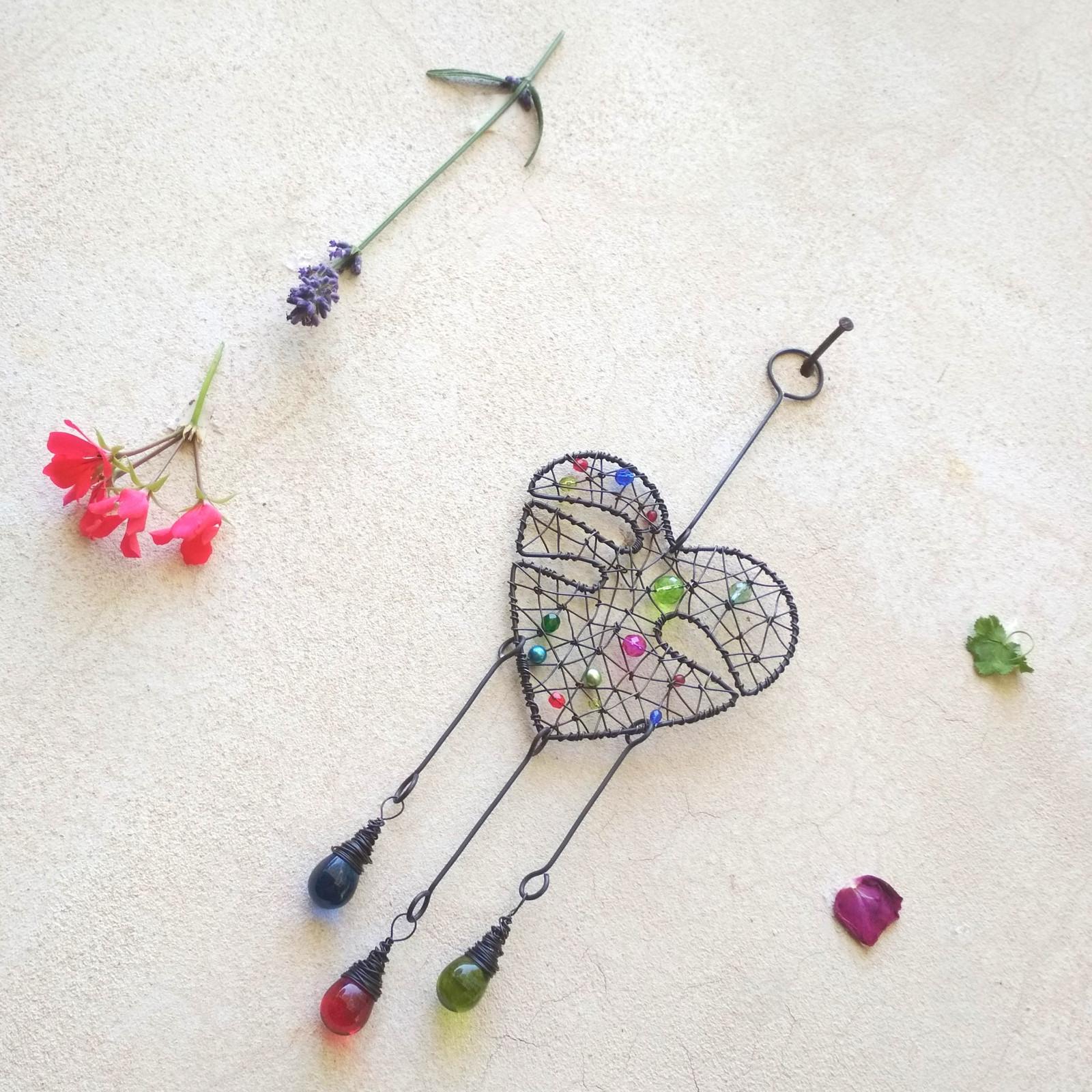 Monstera malá / od smu | Fler.cz