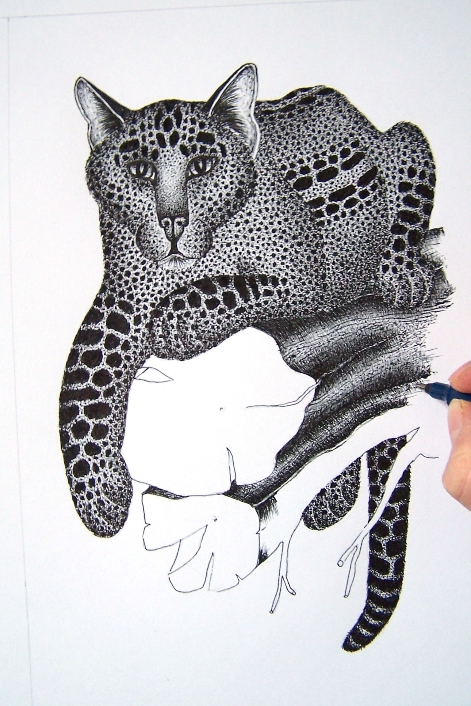 Kresba Kocour puntíkatý / od galerie-anna | Fler.cz