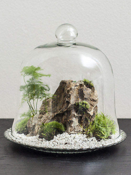 Plantárium vol. 3 / od bee sting | Fler.cz