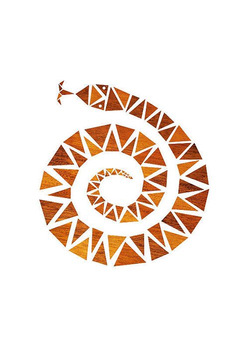 Plakát Had dřevěný A4 / od Obrázky Tom | Fler.cz