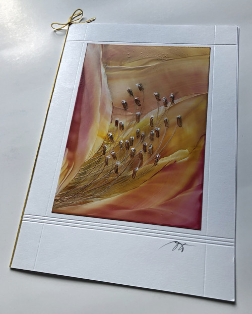 Přání růžové XXL blahopřání (A4) Tajemství květu / od dupky | Fler.cz