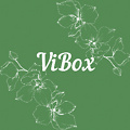 ViBox | Fler.cz